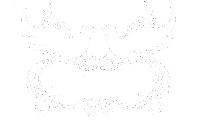 White Dove Meaning What Does A White Dove Symbolize Seattle White white-dove-meaning-what-does-a-white-dove-symbolize-seattle-white